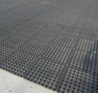 China Easy Installation HDPE Plastic Drainage Cell for Waterproof Roof Garden or Drainage System for sale