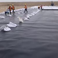 China Environmentally-Friendly Black HDPE Geomembrane for Lake Liners Thickness 0.3mm-3.0mm for sale