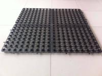 China HDPE Plastic Dimple Board for Drainage Tray Green or Customizable Construction Materials for sale