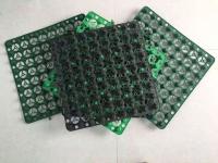 China HDPE Plastic Dimple Board for Drainage Tray Green or Customizable Construction Materials for sale