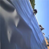 China Waterproof Membrane HDPE Geomembrane for Fish Farming and Agricultural Pond Liners 0.5mm 1.0mm 1.5mm for sale