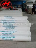 China 1.2mm Thick Thermoplastic Sheet Roll Suitable for Basements Garbage Disposal Facilities and More 20m Length for sale