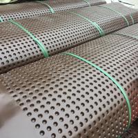 China Waterproof 8mm 10mm 20mm 30mm 40mm 50mm 60mm Dimple Height HDPE Composite Drainage Board for Roof Garden and Construction for sale