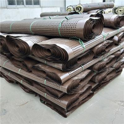 China 15m Length and 10mm Thickness Plastic Drain Cell Drainage Board for Roof Garden Parking Green Belt for sale