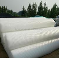 China Long-lasting Drainage Board Plastic Drainage Cell for 30mm Water Storage and Waterproof Solution for sale