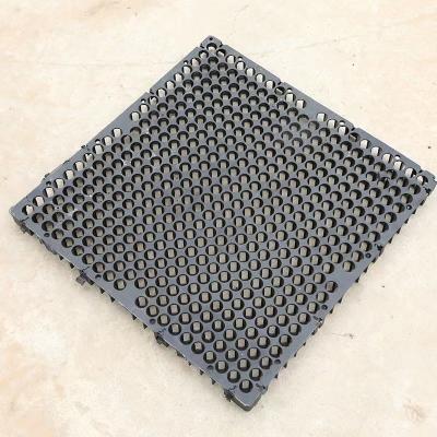 China 30mm Thickness White HDPE PVC Drainage Board/Cell/Sheet for Green Building Projects for sale