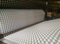 China 60mm HDPE PP Plastic Dimple Drainage Mat for Green Roof Water Storage Length 20m Long-Lasting and Dependable Solution for sale