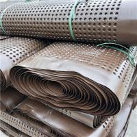 China 10mm Thickness HDPE Dimple Drainage Board for 3m Width Civil Engineering Projects for sale