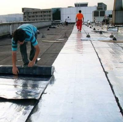China ISO9001/14001 Certified Waterproof Membrane for SBS APP Self Adhesive Roofing Systems for sale