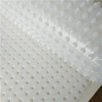 China CE Certified HDPE Dimple Board for Green Roof Drainage on Highways and Railways 3D Design Long-Lasting for sale