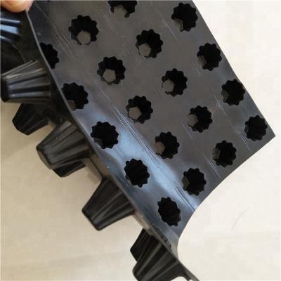China 8mm 12mm 20mm Roof Garden Drainage Board / Garage Top Greening Drain Board for sale
