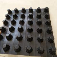 China 8mm 12mm 20mm Roof Garden Drainage Board / Garage Top Greening Drain Board for sale