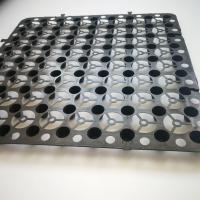 China Hotel Roof Garden Parking Green Belt Plastic Drain Cell Drainage Board with Waterproof Membrane for sale