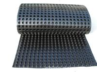 China Composite Plastic HDPE Dimpled Foundation Waterproofing Drainage Board ISO9001/1400 Certified for Waterproof Wall Boards for sale