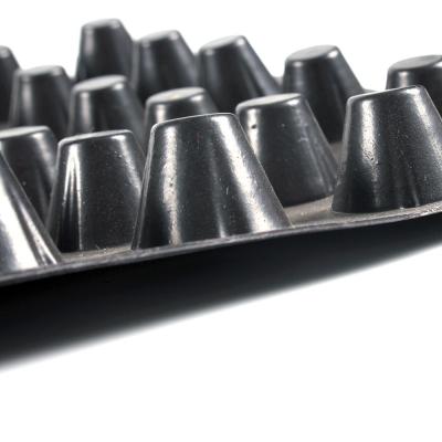 China Long-lasting 12mm Plastic Dimple Drainage Board for Roof Garden 15m Length 50 Year Life Span for sale