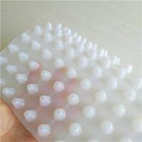 China Versicell HDPE Plastic Dimple Drainage Board 500*500*30mm The Ultimate Solution for Hotel Drainage Systems Length 15m for sale