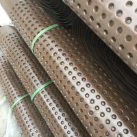 China ISO9001/1400 Certified HDPE Drainage Board/Cell/Sheet in Traditional Design Style for Versatile Drainage Solutions for sale