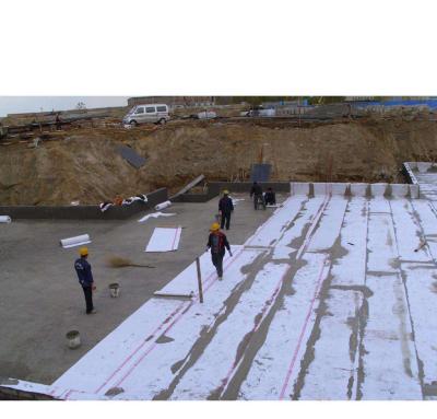 China Customized Color Polypropylene Polyethylene Waterproofing Membrane for Hotel Construction Project for sale