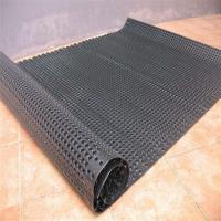 China Green HDPE Dimple Drain Sheet for Easy Installation and Effective Drainage Solutions for sale