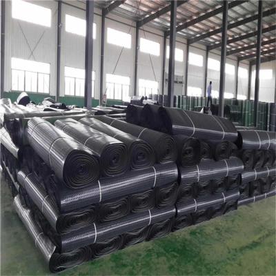 China Transform Your Hotel's Roof into a Lush Green Space with Waterproof Membrane and Concave-convex Plastic Drainage Boards for sale
