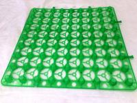 China Foundation Drain Board HDPE DIMPLE SHEET Drainage Protection Board for Product for sale