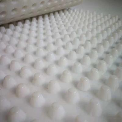 China 0.8mm-2.0mm Thickness HDPE Plastic Dimpled Foundation Foil Membrane Board in Black for Building for sale