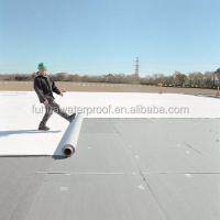 China Waterproof Membrane Pvc Pool Liner Material for Customized and Embossed Waterproofing Swimming Pool for sale