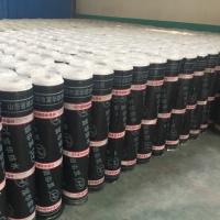China SBS Modified Bitumen Waterproof Membrane Building Materials for Waterproof Project 2.0mm 2.5mm 3.0mm 3.5mm 4.0mm for sale