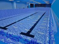 China Polyvinyl Chloride Mosaic PVC Liner for Swimming Pool Width 1.65m 1.83m 2.00m or Customized Pool Lane Line and Material for sale