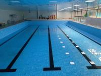 China Polyvinyl Chloride Mosaic PVC Liner for Swimming Pool Width 1.65m 1.83m 2.00m or Customized Pool Lane Line and Material for sale