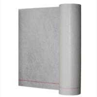 China Pppe Water Proofing Membrane Red Nonadhesive Polyethylene Moisture Barrier for Tile Showers for sale