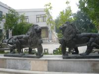 China Custom Marble Animal Sculpture for Garden Decoration Life Size Hand Carved Stone Statue for sale