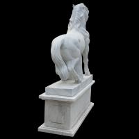 China Life Size Outdoor Garden Marble Horse Statue 260cm for Park Decoration for sale