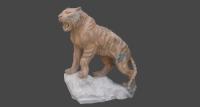 China Marble Tiger Sculpture Outdoor Garden Stone Carving Custom Size 160cm for sale