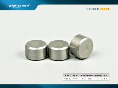 China 011057-1 FLOW direct drive plunger insert; .49