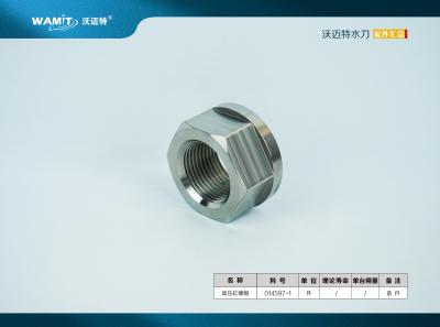 China 014597-1 60000PSI direct drive pump Waterjet Spare Parts Tie Rod Hex Nut for sale