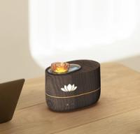 China Home Auto Shut Off Humidifier 350ml With Timing Automatic Outage Protection for sale