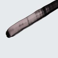 China Odorless 310ML Cartridge Car Windshield Polyurethane adhesive and sealant PU Sealant for auto glass Joint Sealant for sale