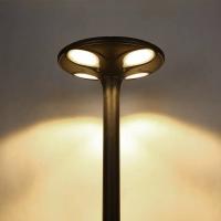 China Solar Street Lights Offering Bright LED Lighting and Sustainable Energy Solutions for Street and Pathway Illumination for sale