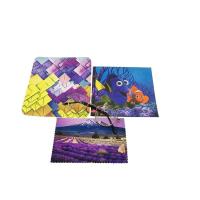 China Custom Print Microfiber Eyeglass Cleaning Cloth  Water Absorbent for sale