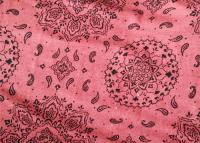 China Rayon Lycra for sale