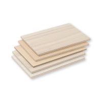 China Fireproof Ice Fire Cement Board PVC Waterproof Wall Cladding Anti Impact Hospital School Panel for sale