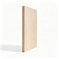 China Marine Plywood High Density PVC Waterproof Wall Panels Weather Resistant Cabinet Boat Board for sale