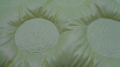China 3D Seamless Logo Printed Bonded Down Winter Coat Fabric 160G Waterproof for sale