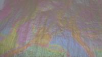 China Crepe Magic Color Foiled Light Jacket Fabric 49 Gsm 20Dx20D 100% Nylon for sale