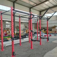 China Steel Adjustable Functional Fitness Trainer Machine for Crossfit Rig Gym Equipment for sale