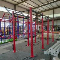 China Steel Adjustable Functional Fitness Trainer Machine for Crossfit Rig Gym Equipment for sale