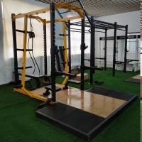 China Multi-Functional Squat Power Hard Pull Training Rack Fitness Equipment SD-003F for Gym for sale