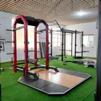 China N.W 380kg Gym Equipment Lifting Squat Rack Weight Rack with Custom Made Colour for sale