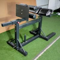China 75*75*3mm Pipe Thickness Adult GHD Roman Chair Integrated Gym Machine Glute Ham Developer for sale